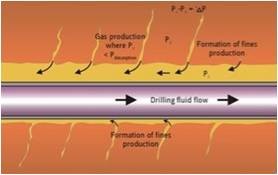 China Langfang Blue Water International Trading Co.,Ltd latest company ...